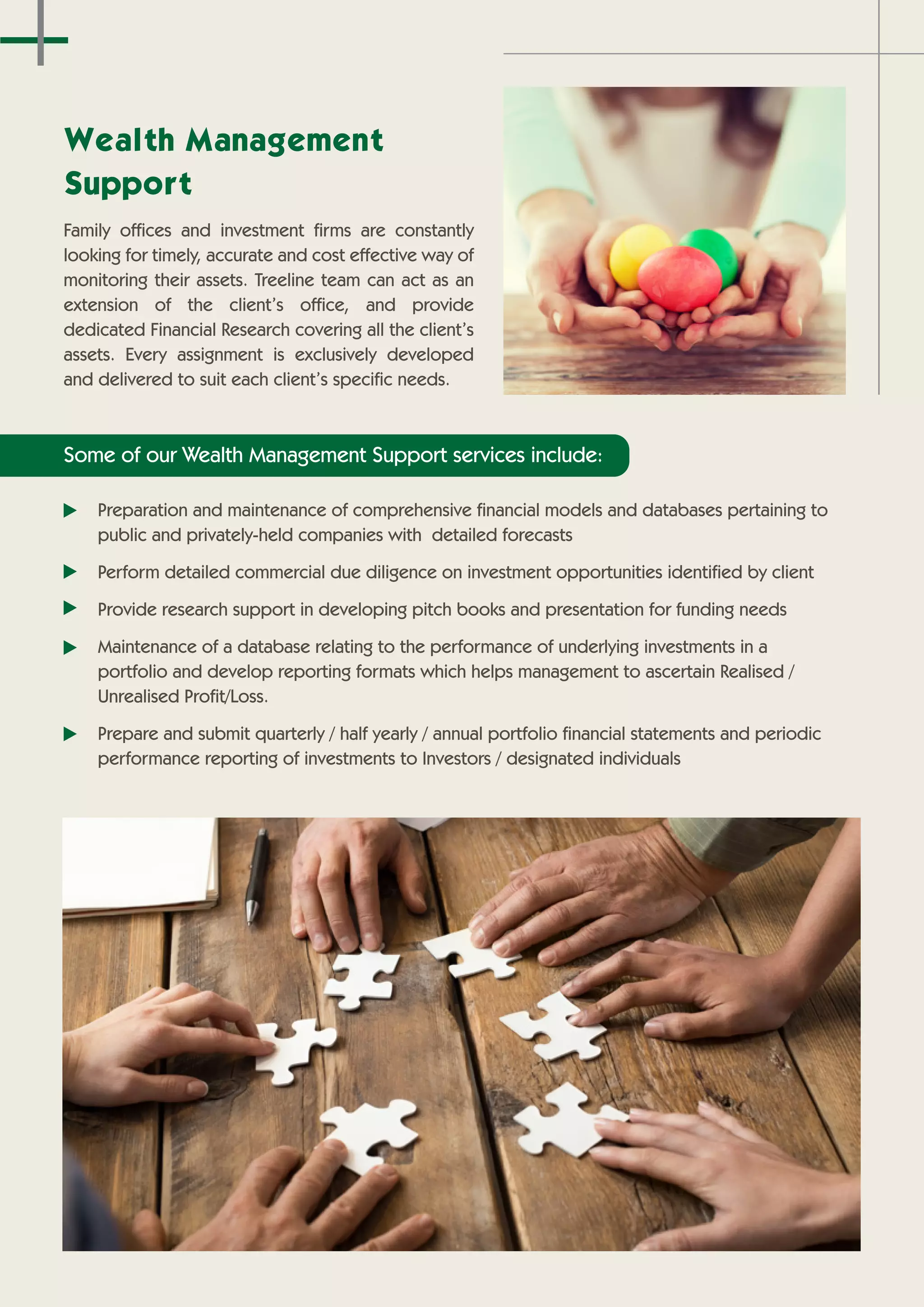Treeline_Family Office_Wealth Management_Flyer | PDF