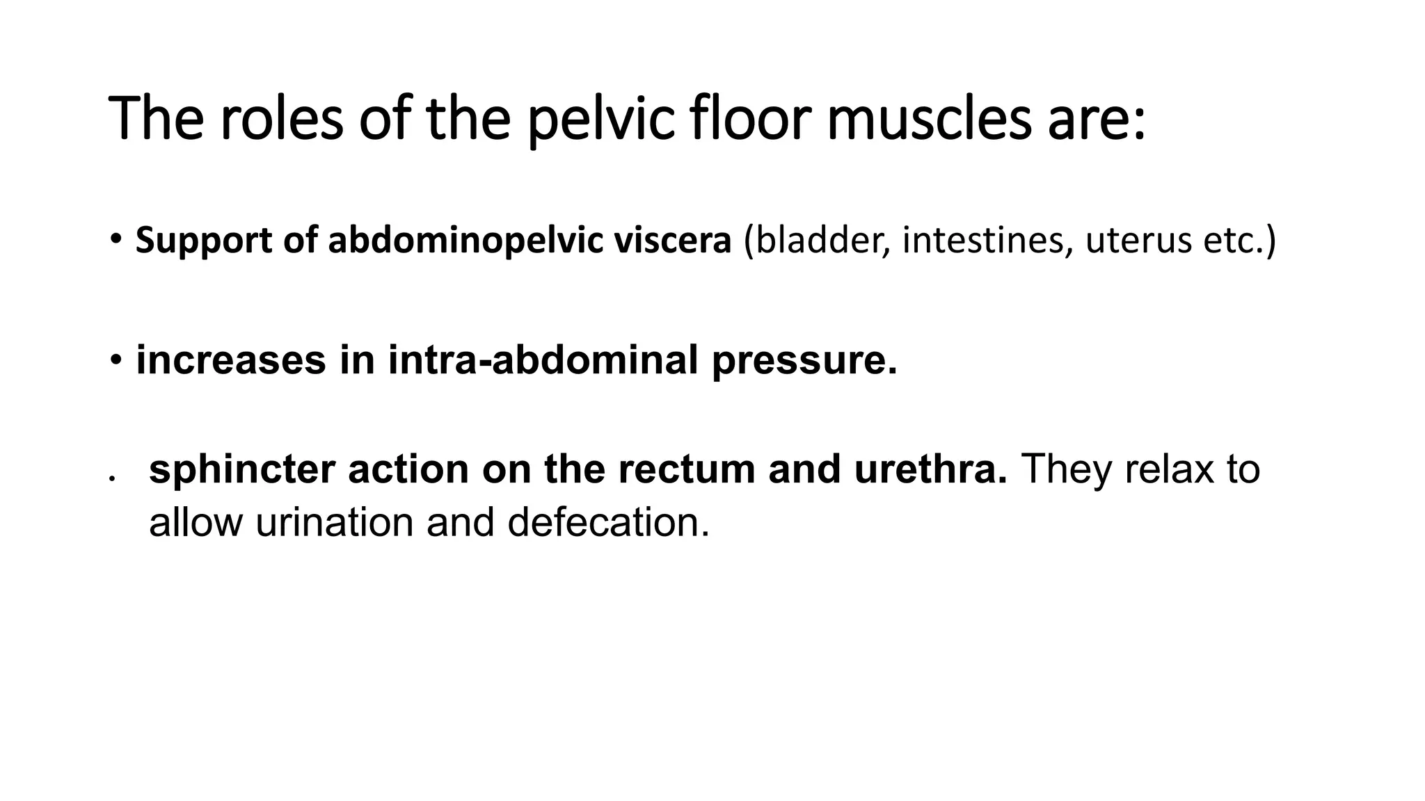 muscles of the pelvis ppt | PPTX