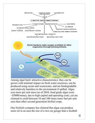 652196837-Microbes-in-Human-Welfare-Project.PDF