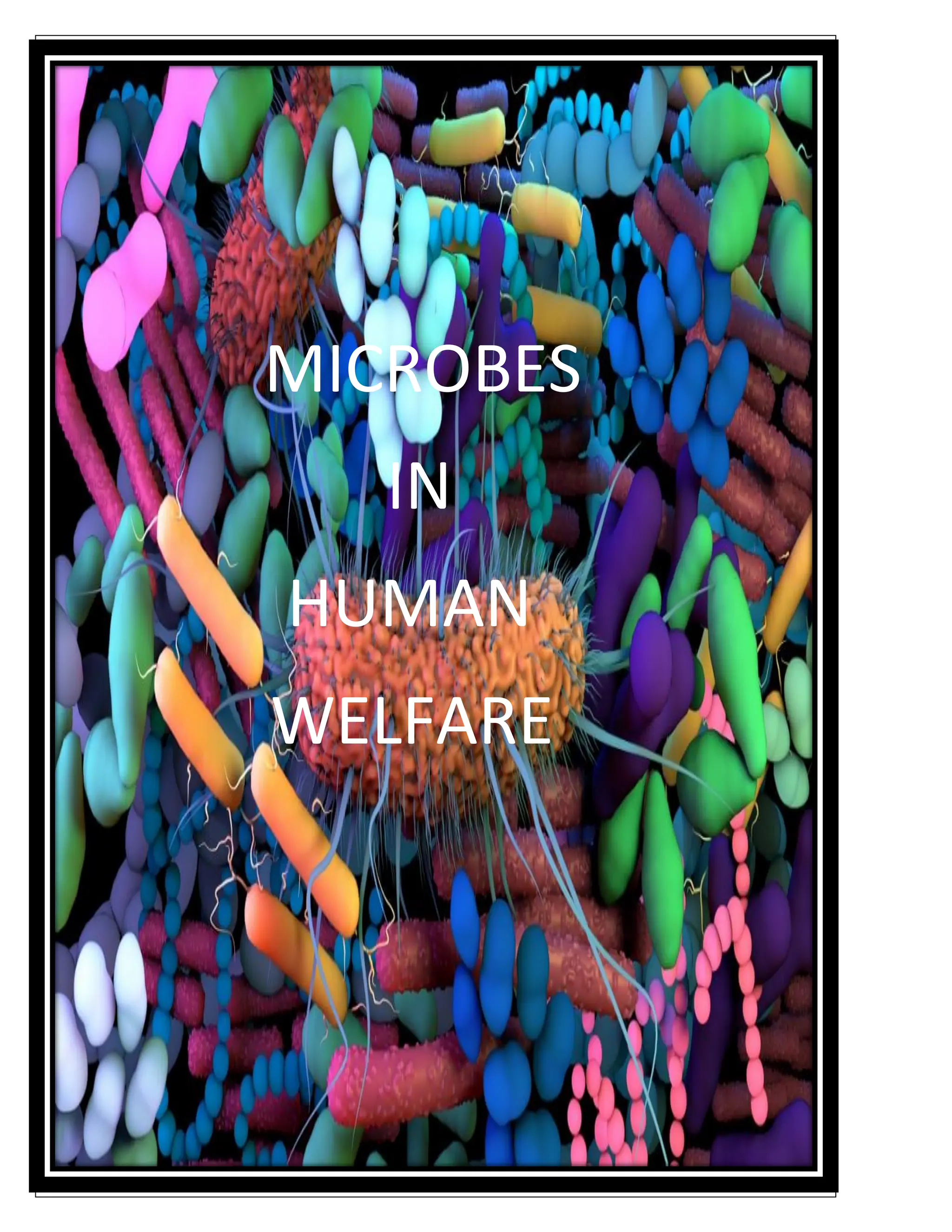 652196837-Microbes-in-Human-Welfare-Project.PDF