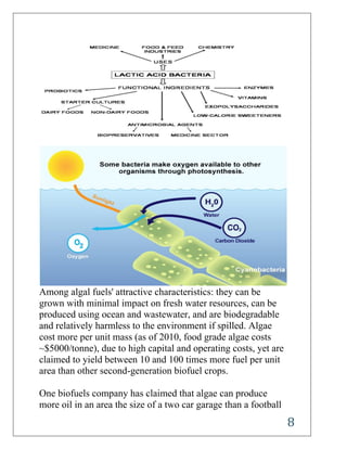 652196837-Microbes-in-Human-Welfare-Project.PDF