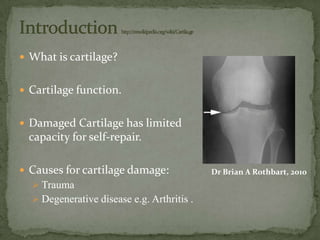 Cartilage Tissue Engineering | PPTX