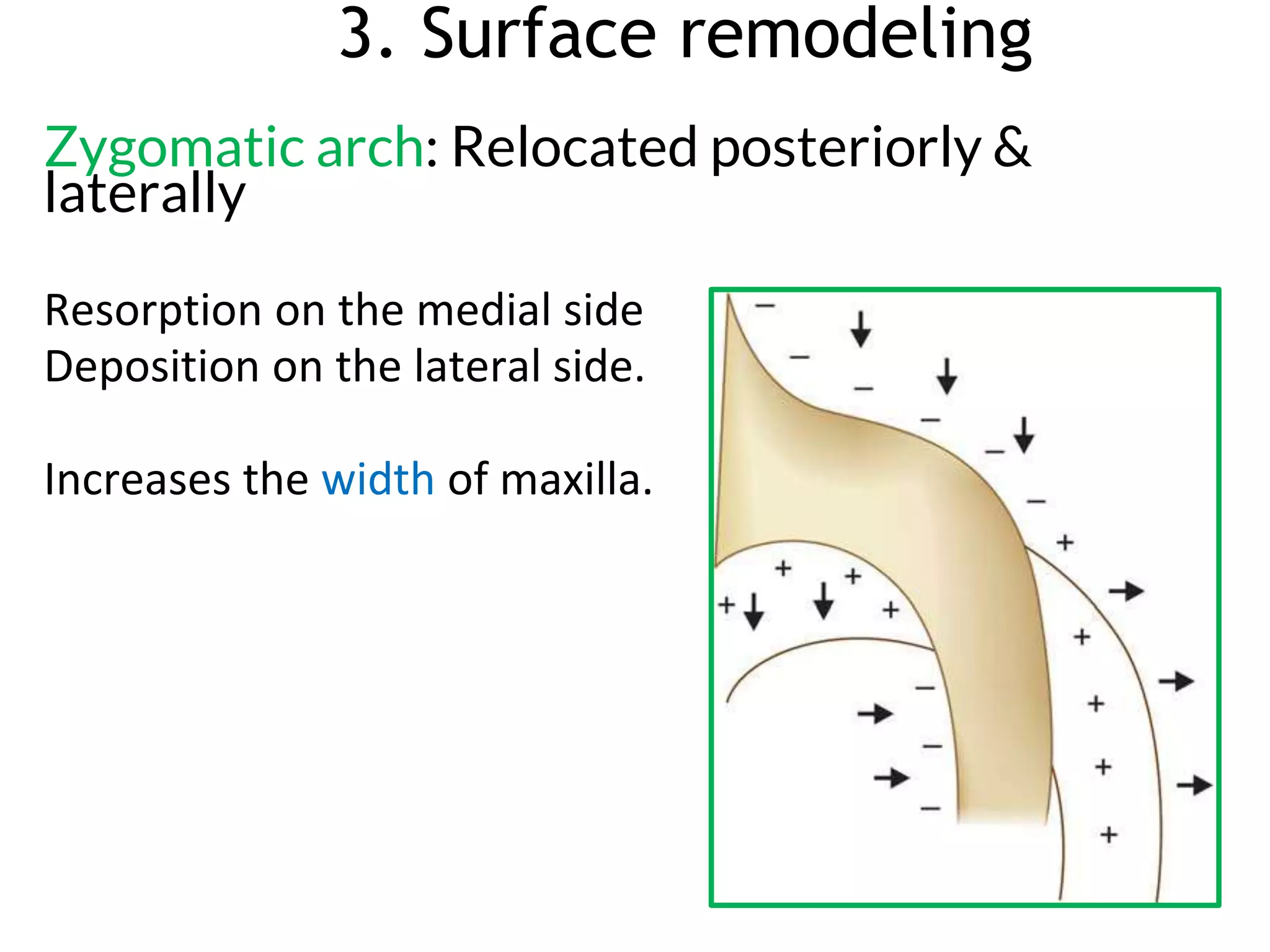 Growth of maxilla | PPTX