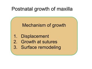 Growth of maxilla | PPTX