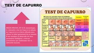 654206574-Test-de-Apgar-Capurro-y-Silverman-4.pptx