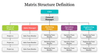 65422 matrix structure definition | PPT