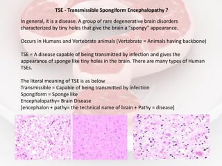 Spongiform Encephalopathy's | PDF
