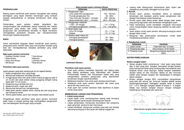 Menternak-Ayam-Penelur. Satu perniagaanpdf | PPT