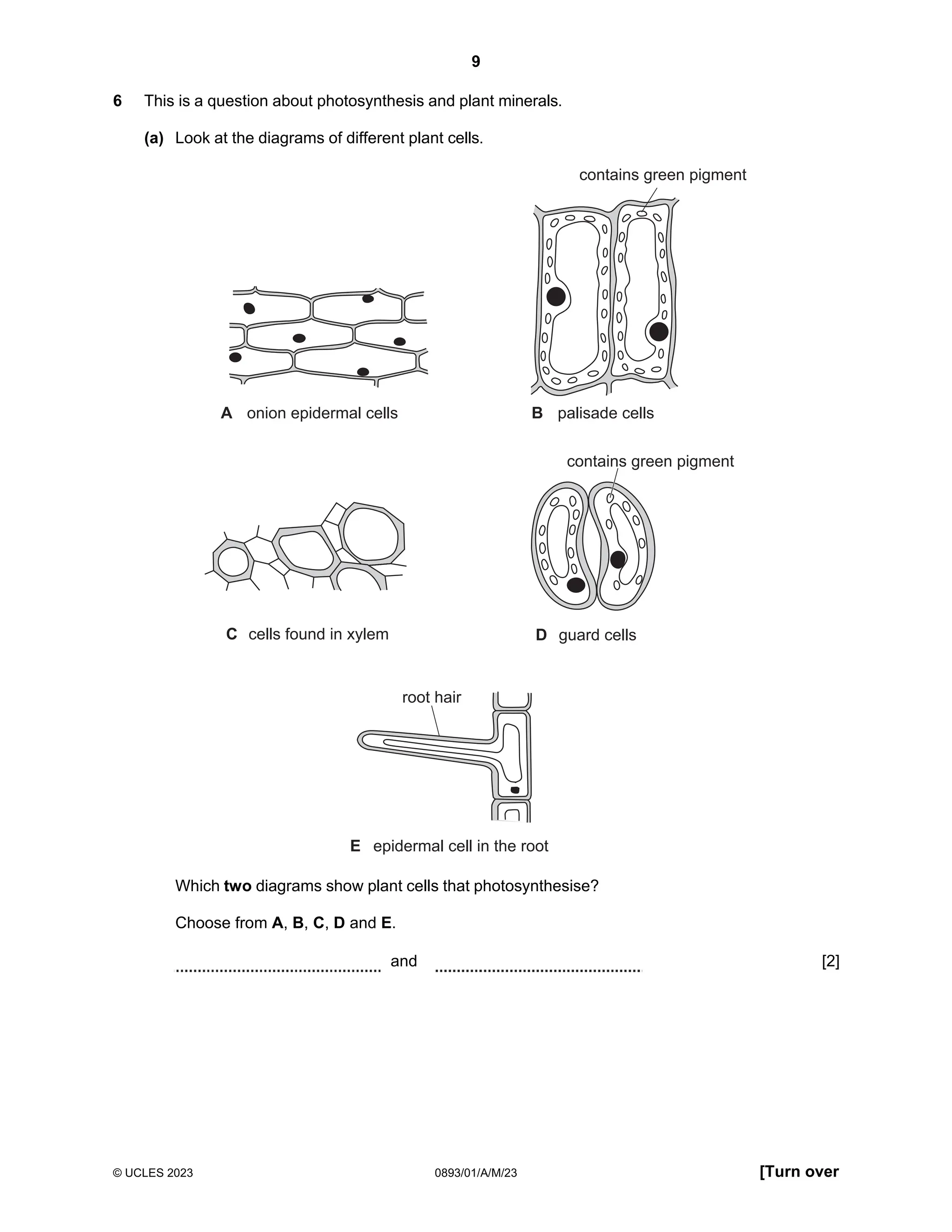655264371-checkpoint-science-past-papers-april-2023.pdf