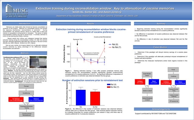 poster presentation | PPT