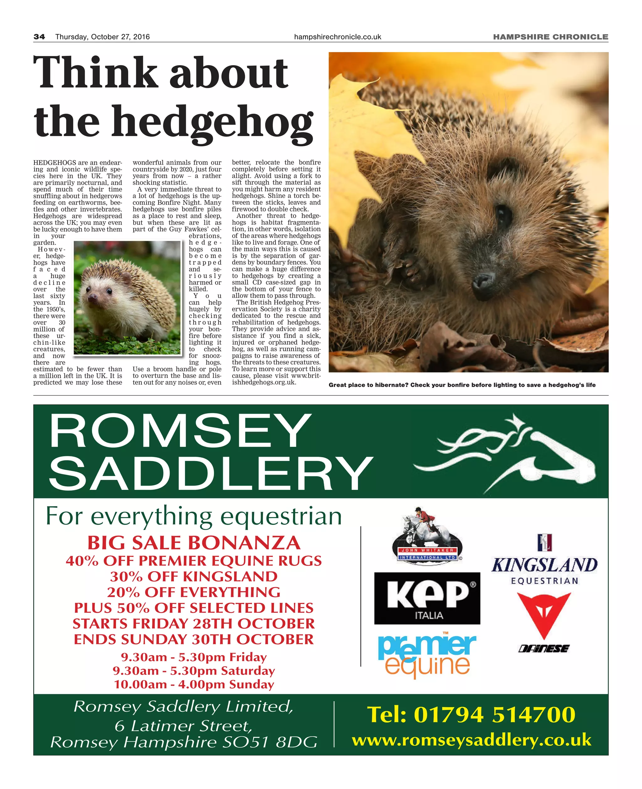 HedgeHog ft | PDF