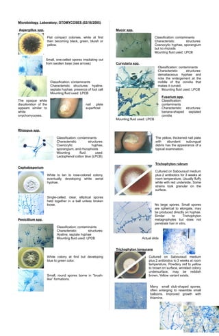 mycology-lab2 | PDF