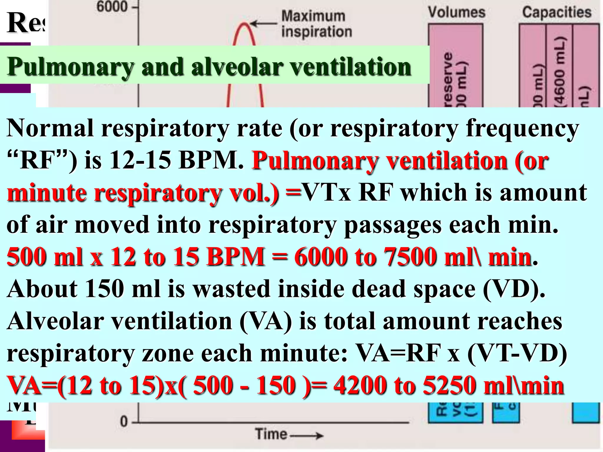 Respiratory system ppt | PPT