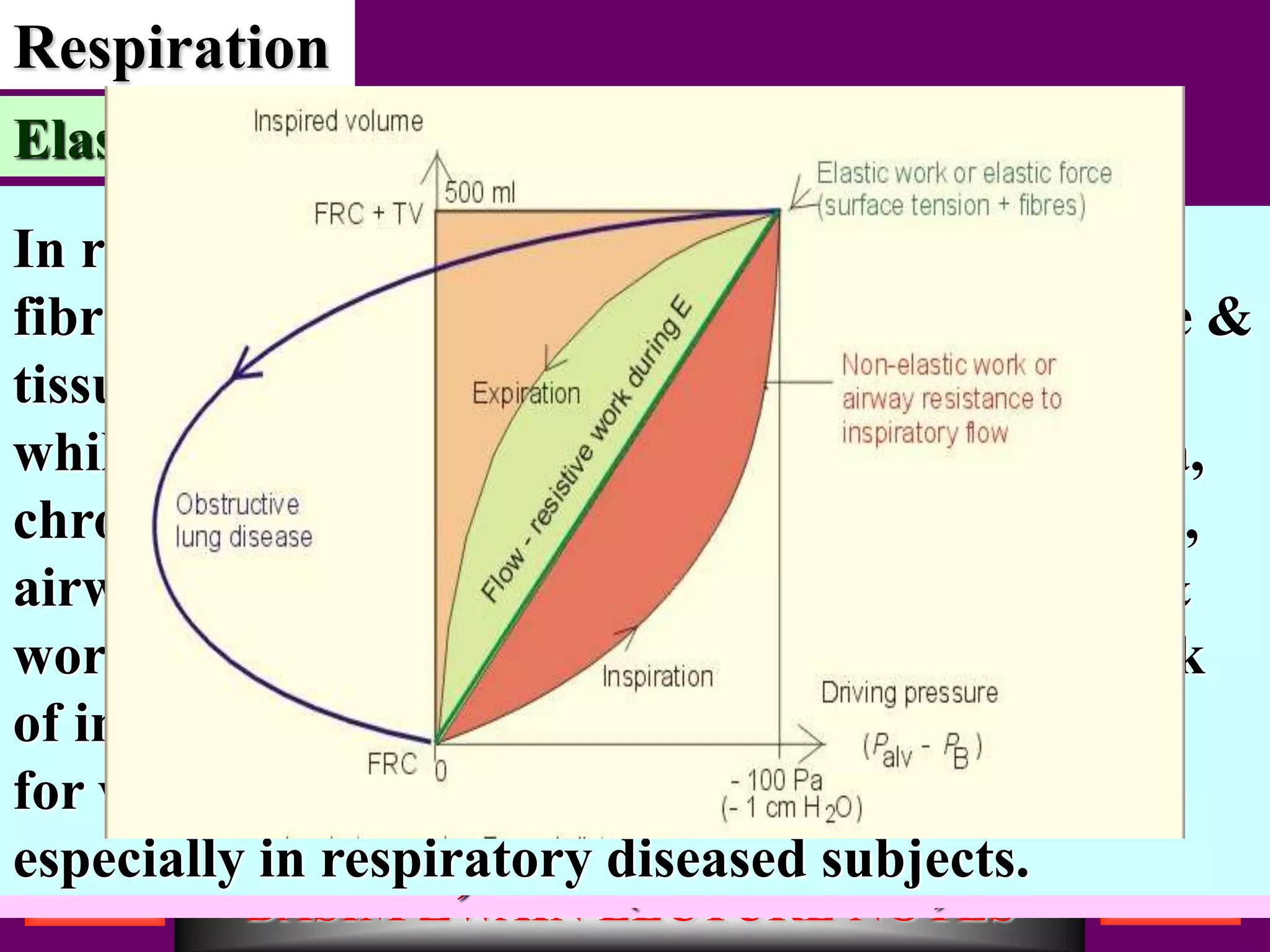 Respiratory system ppt | PPT