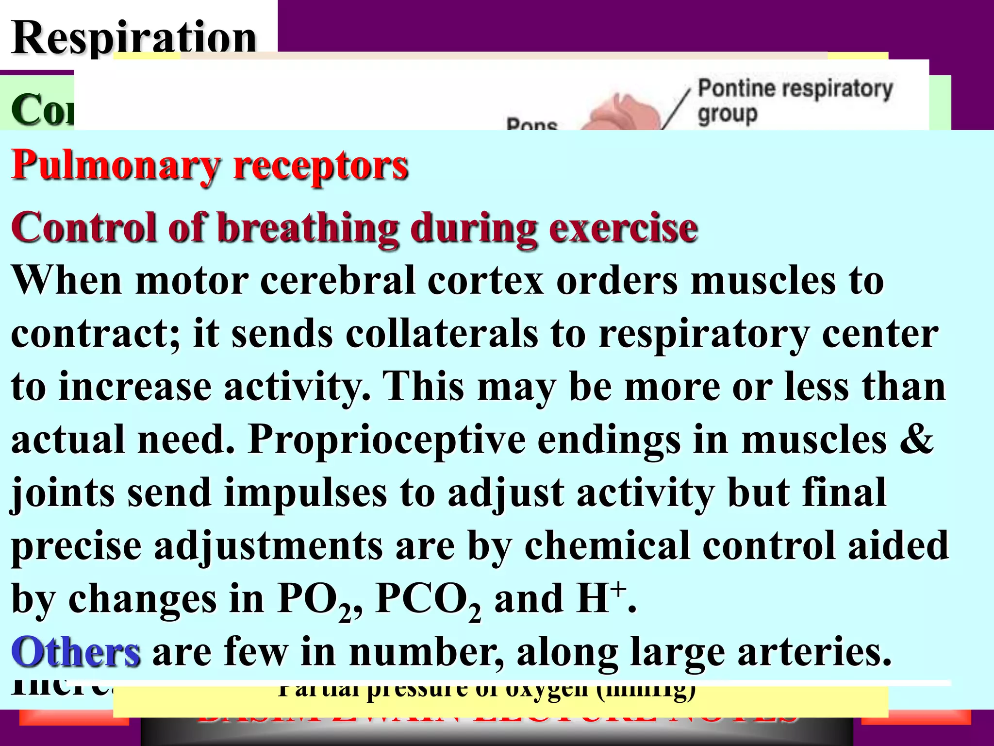 Respiratory system ppt | PPT