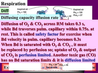 Respiratory system ppt | PPT