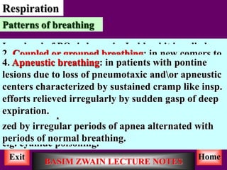 Respiratory system ppt | PPT