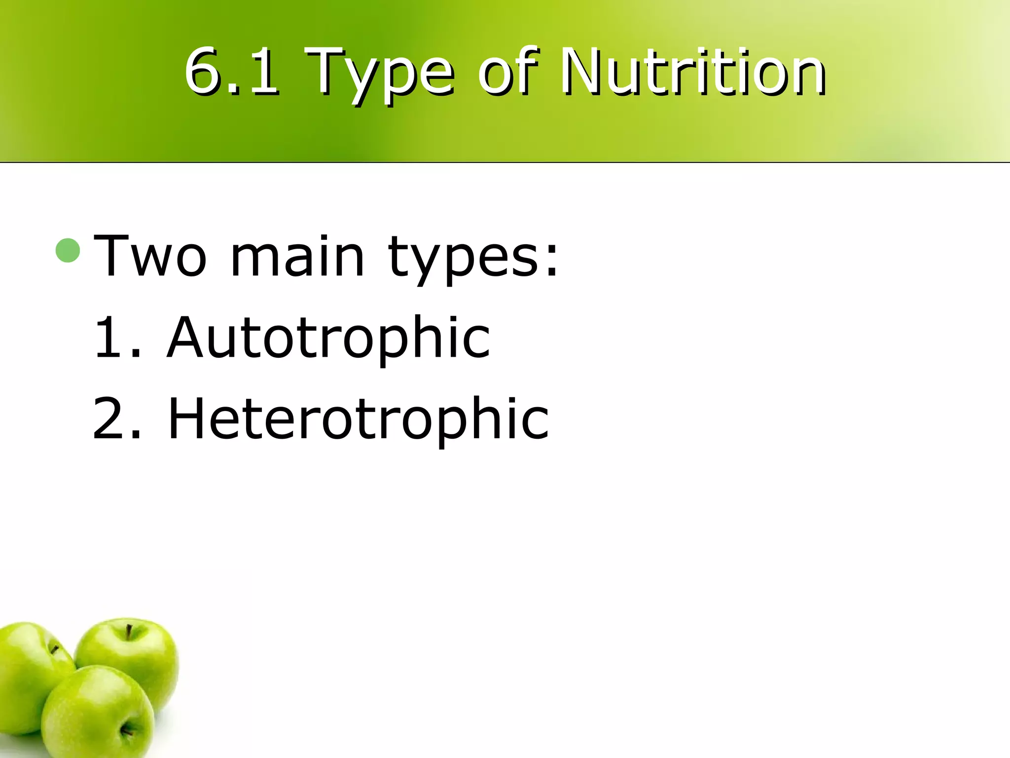 6570567 61 types-of-nutrition | PPT
