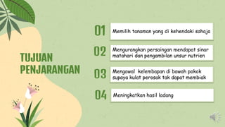 657419375-PENJARANGAN-ANAK-POKOK-TANAMAN.pdf