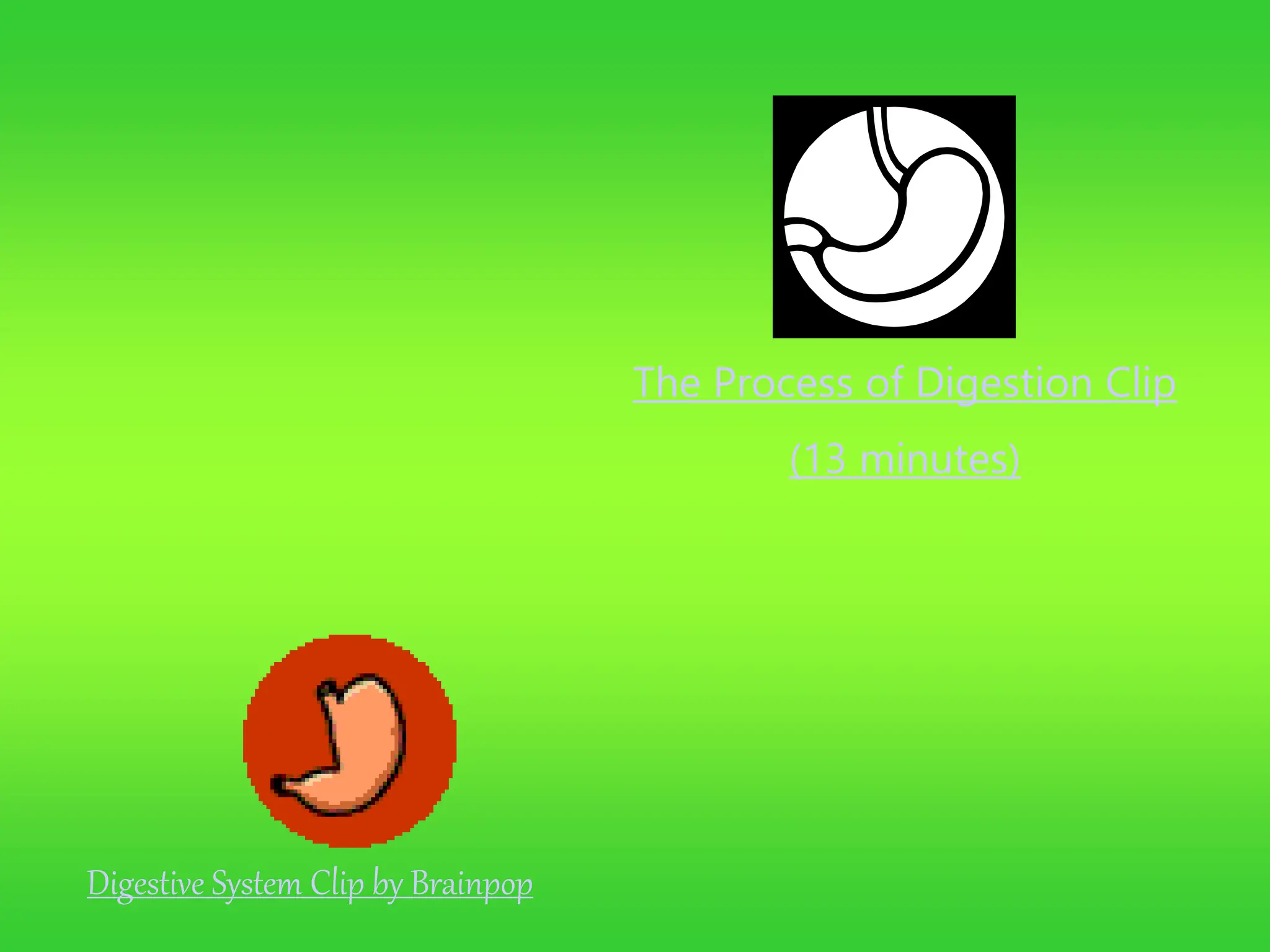 Digestive System Grade 4 igcse easy notes ppt | PPT