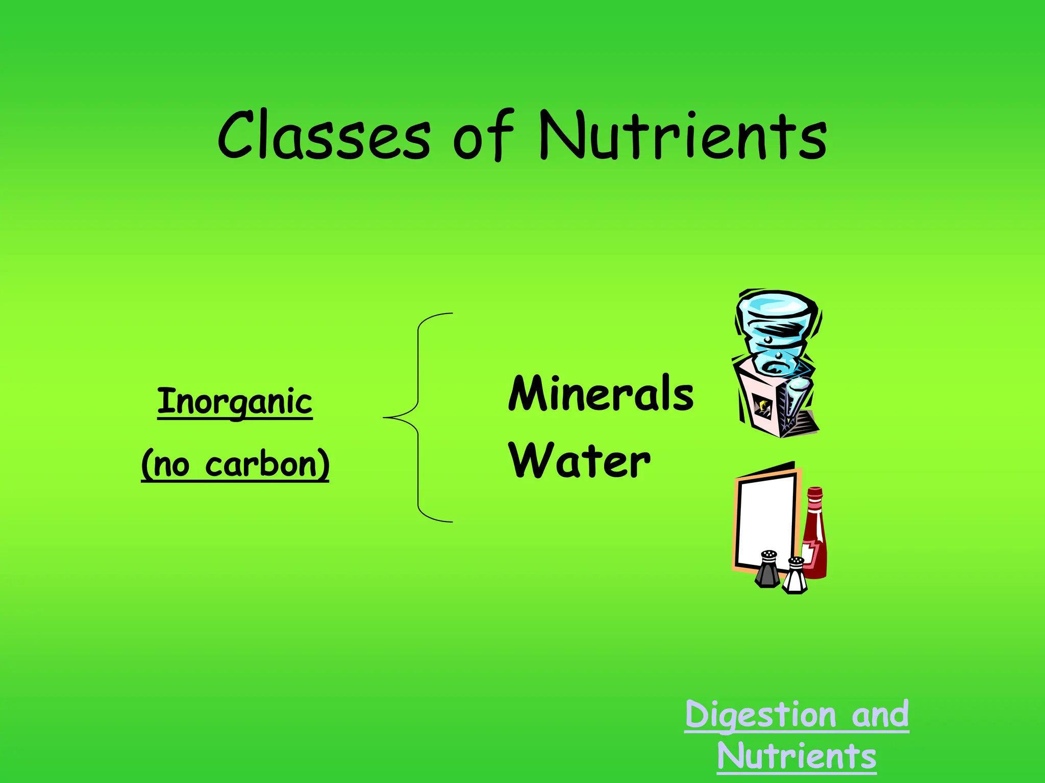 Digestive System Grade 4 igcse easy notes ppt | PPT