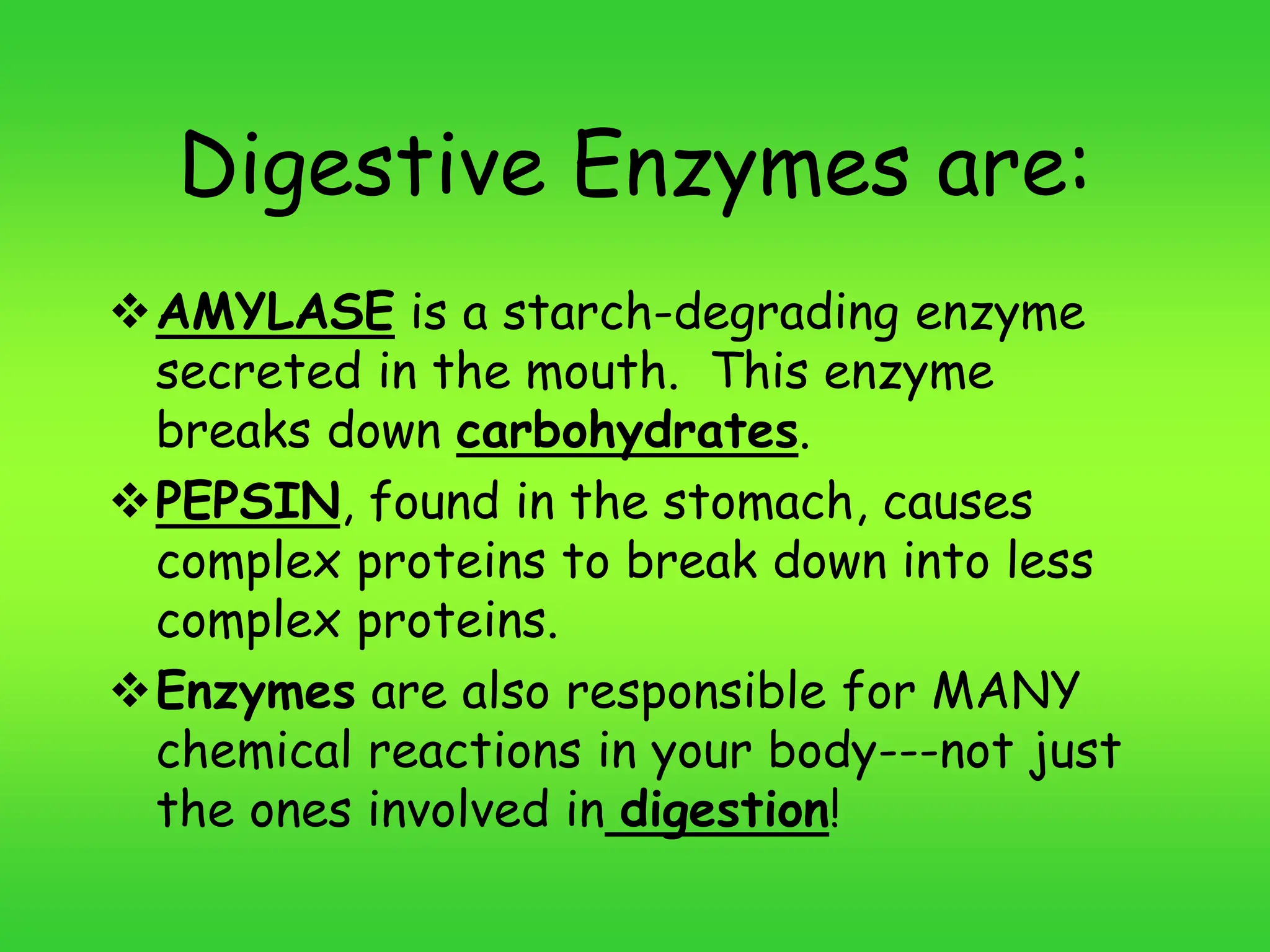 Digestive System Grade 4 igcse easy notes ppt | PPT