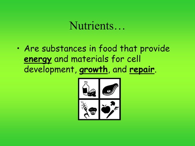 Digestive System Grade 4 igcse easy notes ppt | PPT | Nutrition ...