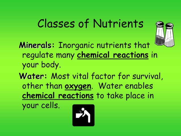 Digestive System Grade 4 igcse easy notes ppt | PPT | Nutrition ...