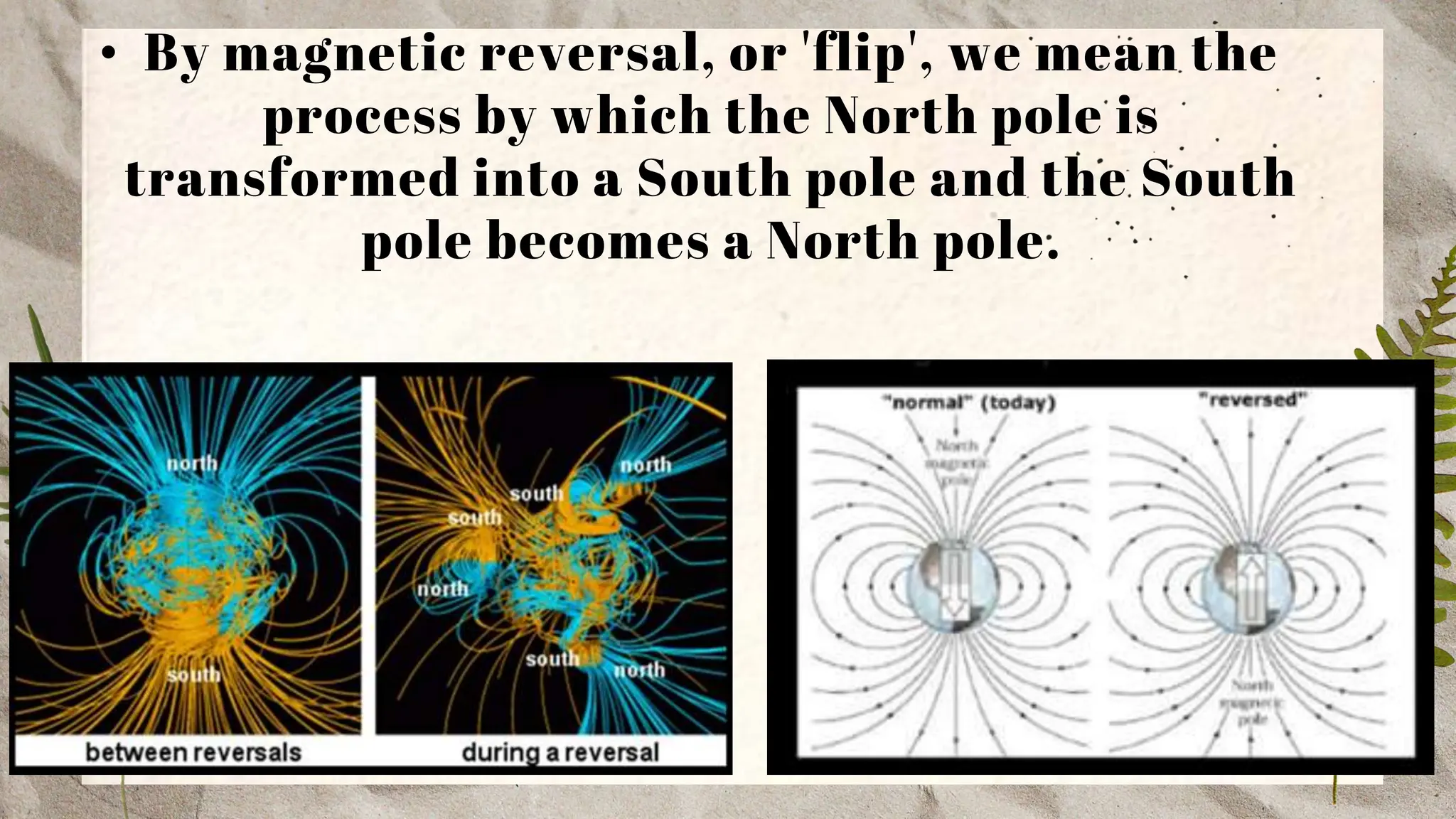 657842078-Magnetic-Reversal.powerpointpresentation | PPTX