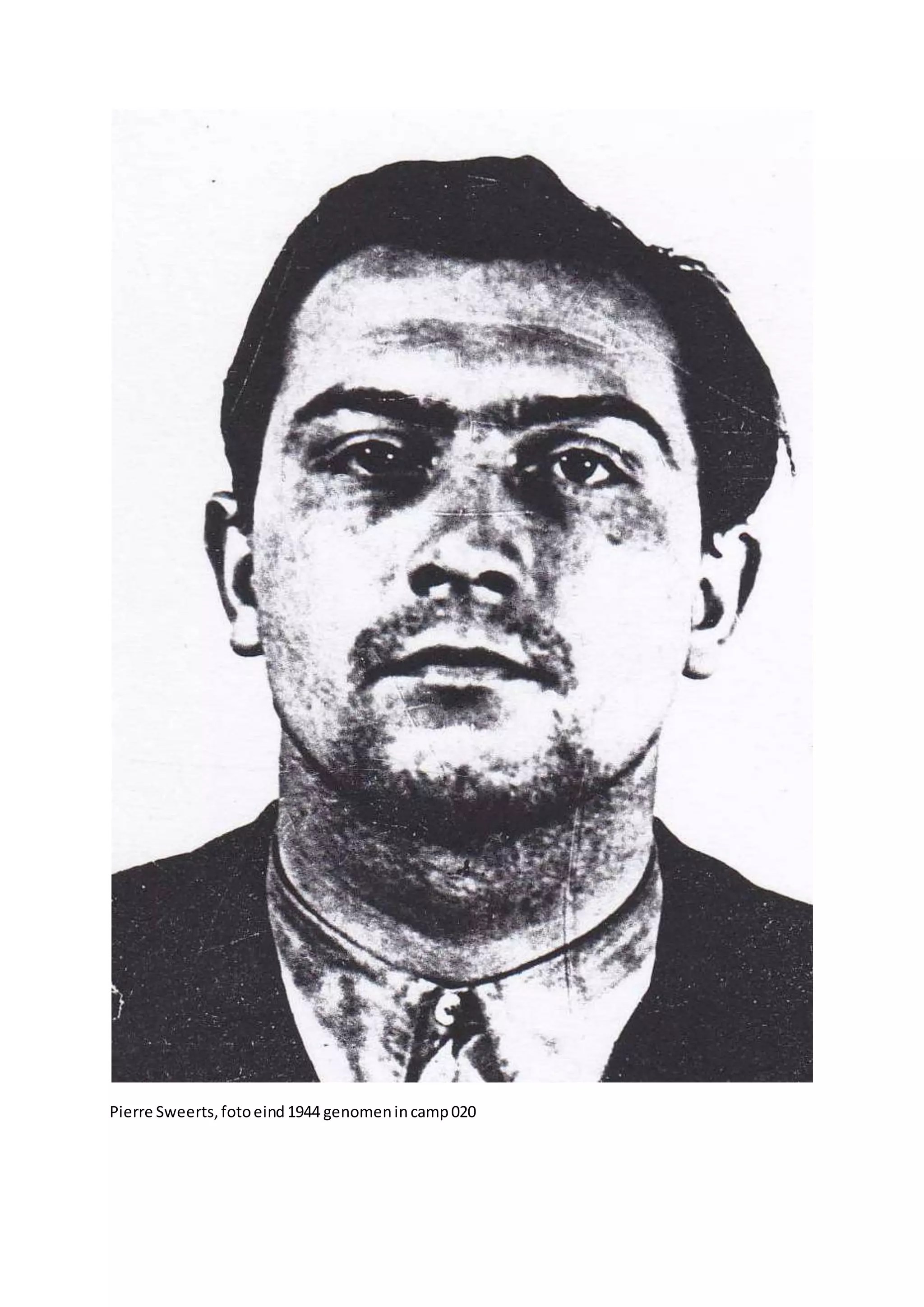 Pierre Sweerts | PDF