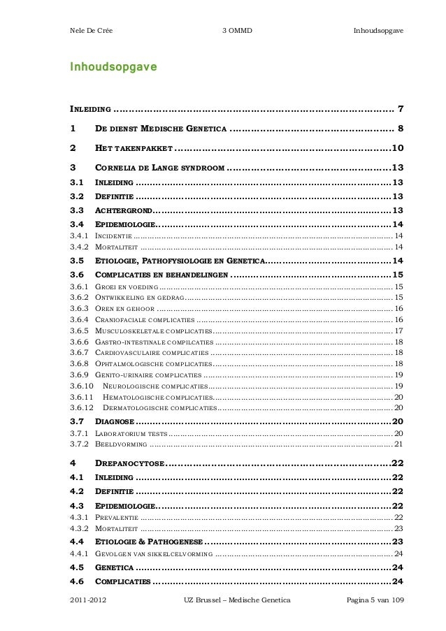 Stageverslag Voorbeeld