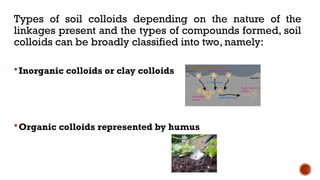 659849103-Chemical-Properties-of-Soil.pptx