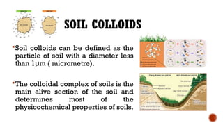 659849103-Chemical-Properties-of-Soil.pptx