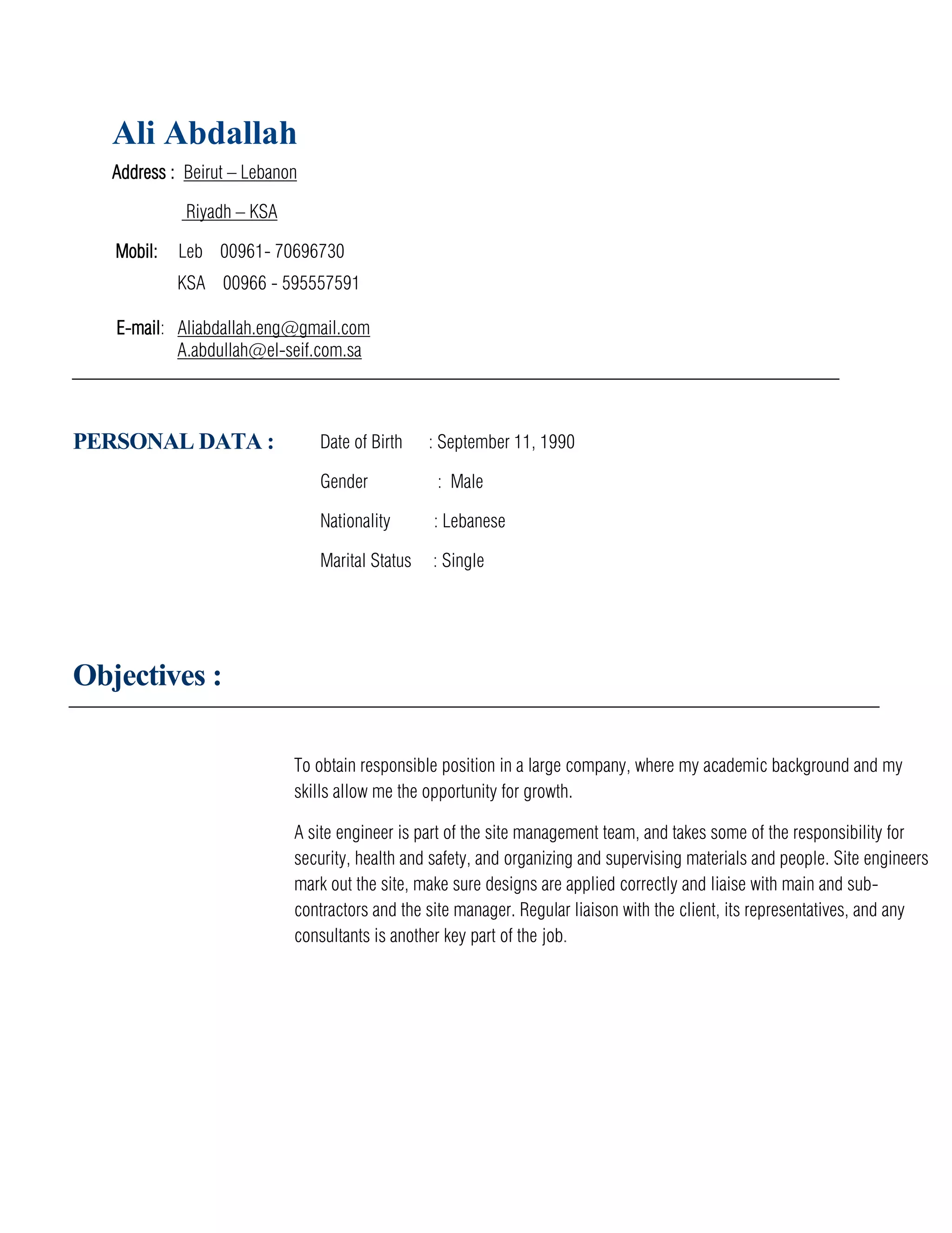 ali abdallah -cv . | PDF