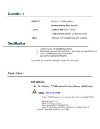 ali abdallah -cv . | PDF
