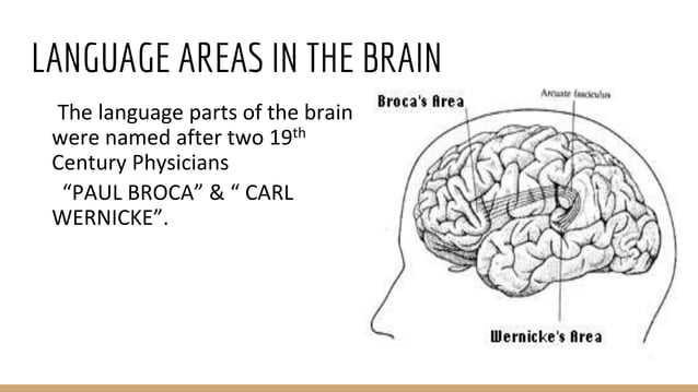 Language comprehension and curriculum ppt | PPT