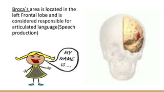 Language comprehension and curriculum ppt | PPT