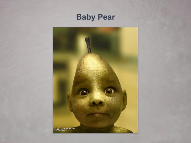 65 Creative and Funny Photoshopped Images | PDF