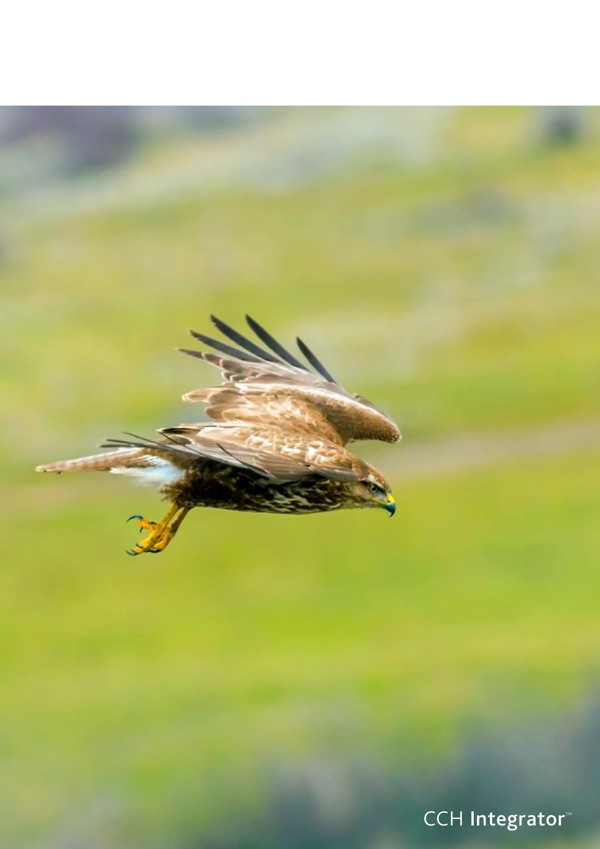 CBC Reporting Brochure | PDF