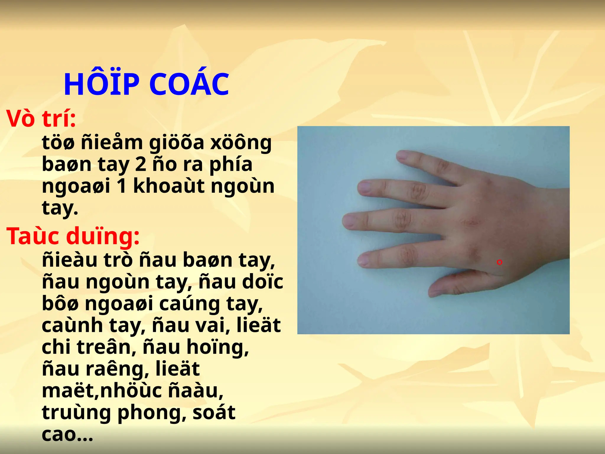 65 huyet thuong dung.ppt65 huyet thuong dung.ppt65 huyet thuong dung.ppt