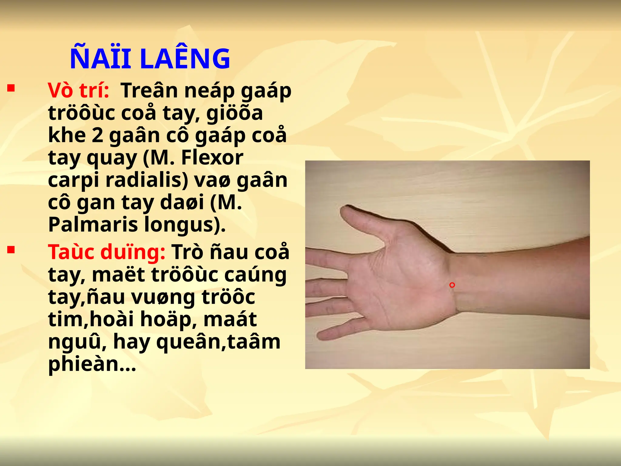 65 huyet thuong dung.ppt65 huyet thuong dung.ppt65 huyet thuong dung.ppt