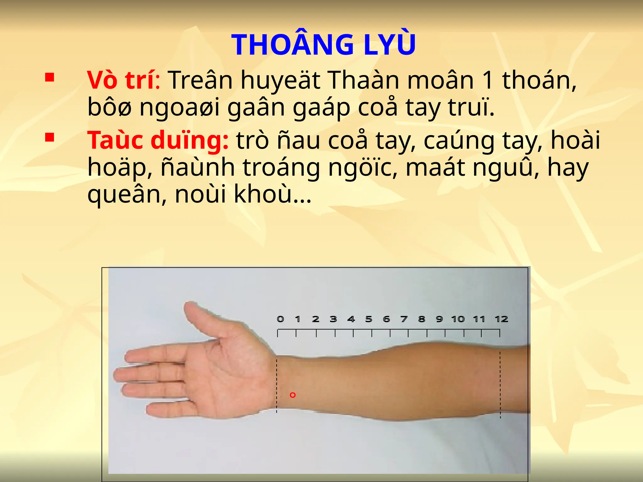 65 huyet thuong dung.ppt65 huyet thuong dung.ppt65 huyet thuong dung.ppt