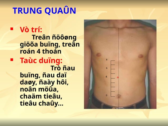 65 huyet thuong dung.ppt65 huyet thuong dung.ppt65 huyet thuong dung.ppt