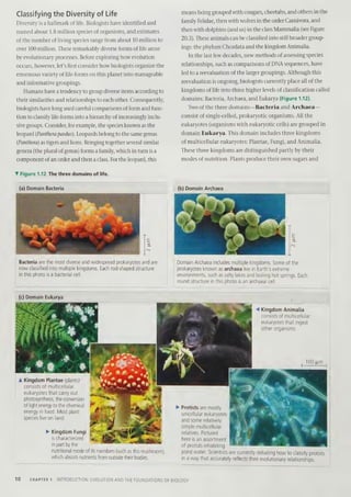 Campbell Biology in Focus 3rd Edition PDF | PDF