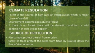 FOREST_111111812_0000.pptx