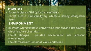 FOREST_111111812_0000.pptx