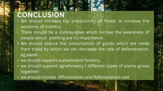 FOREST_111111812_0000.pptx