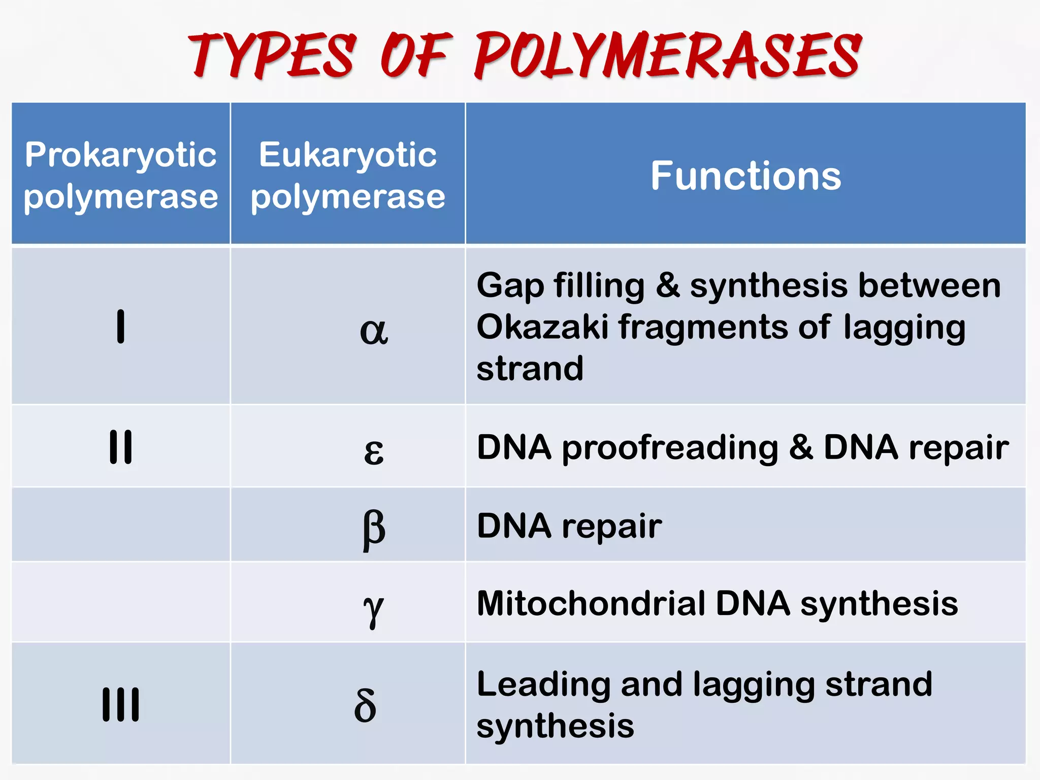 DNA Replication - | PDF
