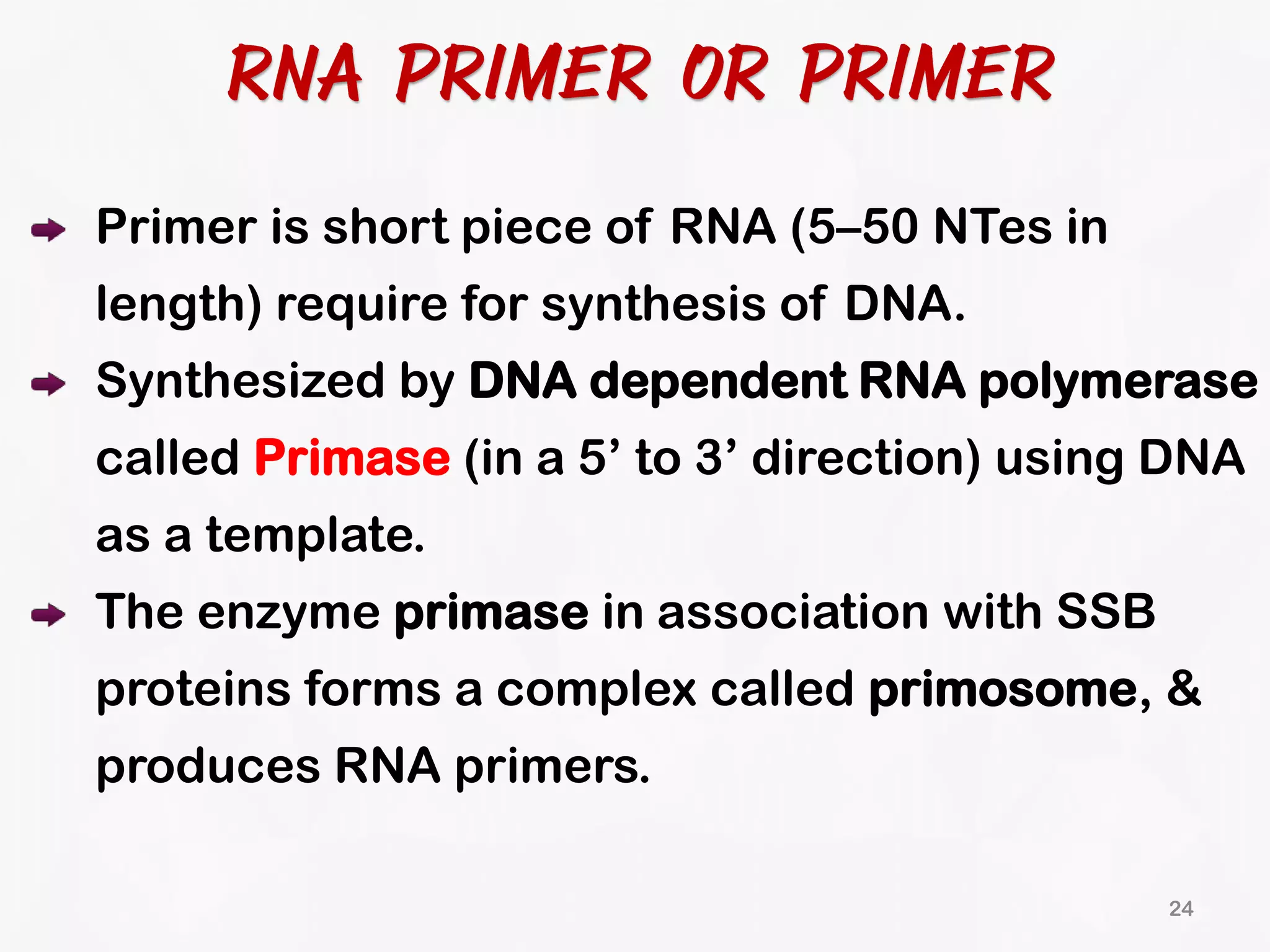 DNA Replication - | PDF
