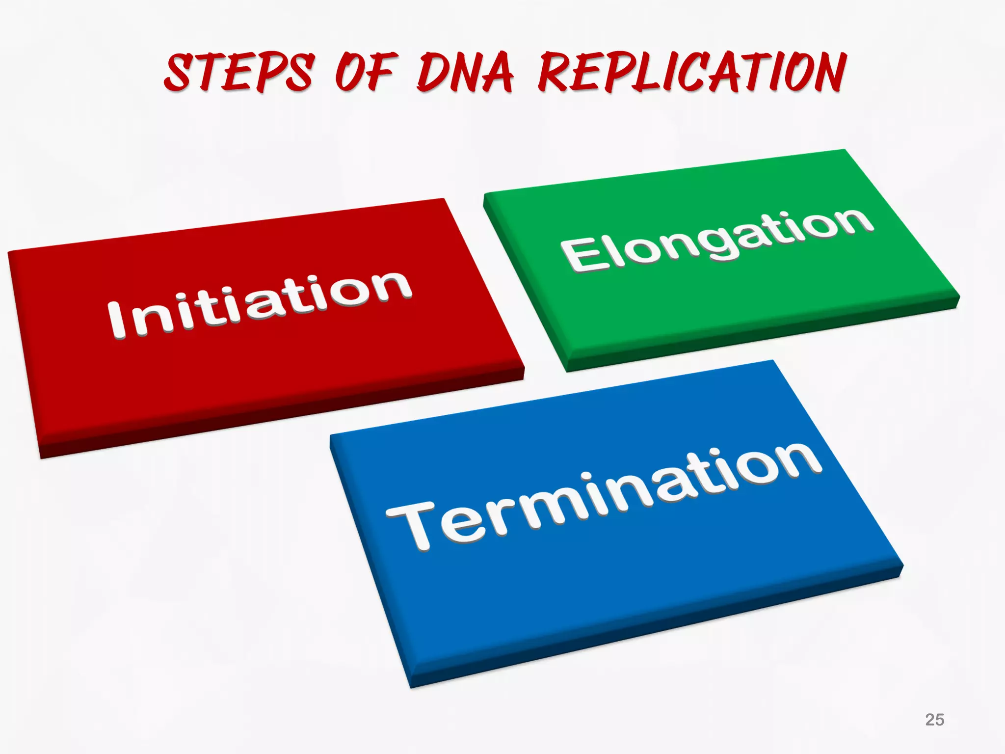 DNA Replication - | PDF